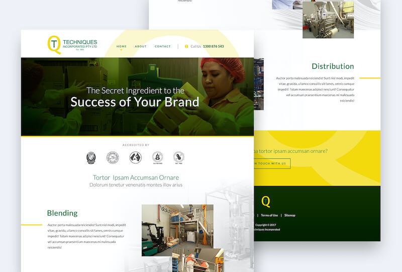 Techniques Incorporated - Swoop Digital